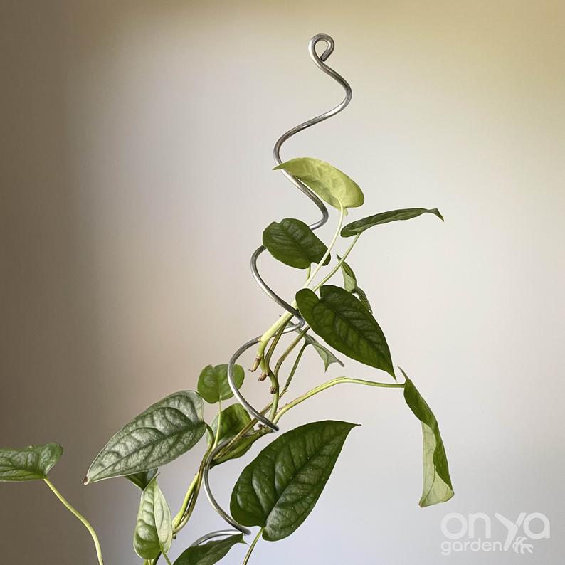 Steel Large Spiral Plant Stick, Decorative Large Plant Stake – On Ya Garden